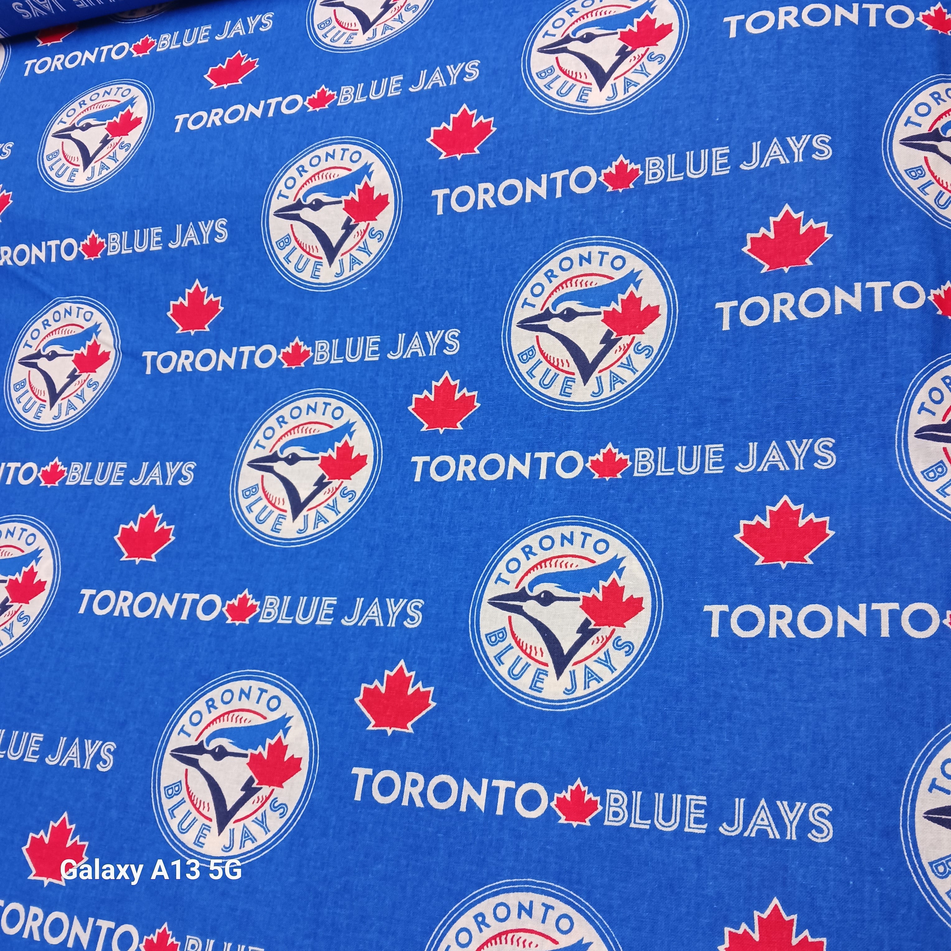 Toronto Blue Jays – Creemore House of Stitches Quilt and Yarn Shop