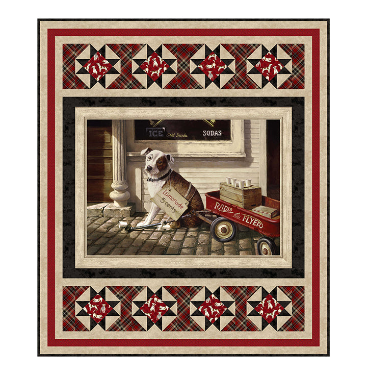 Framed In Quilt Kit – Creemore House of Stitches Quilt and Yarn Shop